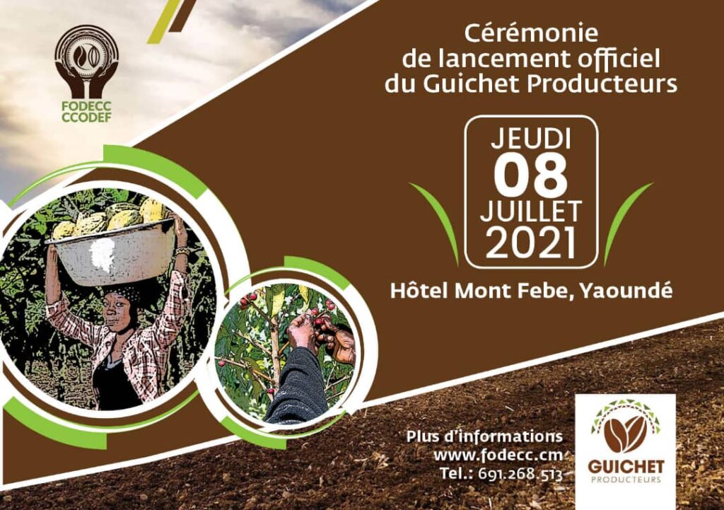 Filière cacao-café au Cameroun : Un nouvel outil de subvention pour ...